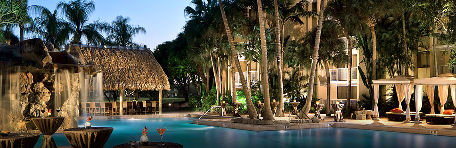 Al-Ameri International